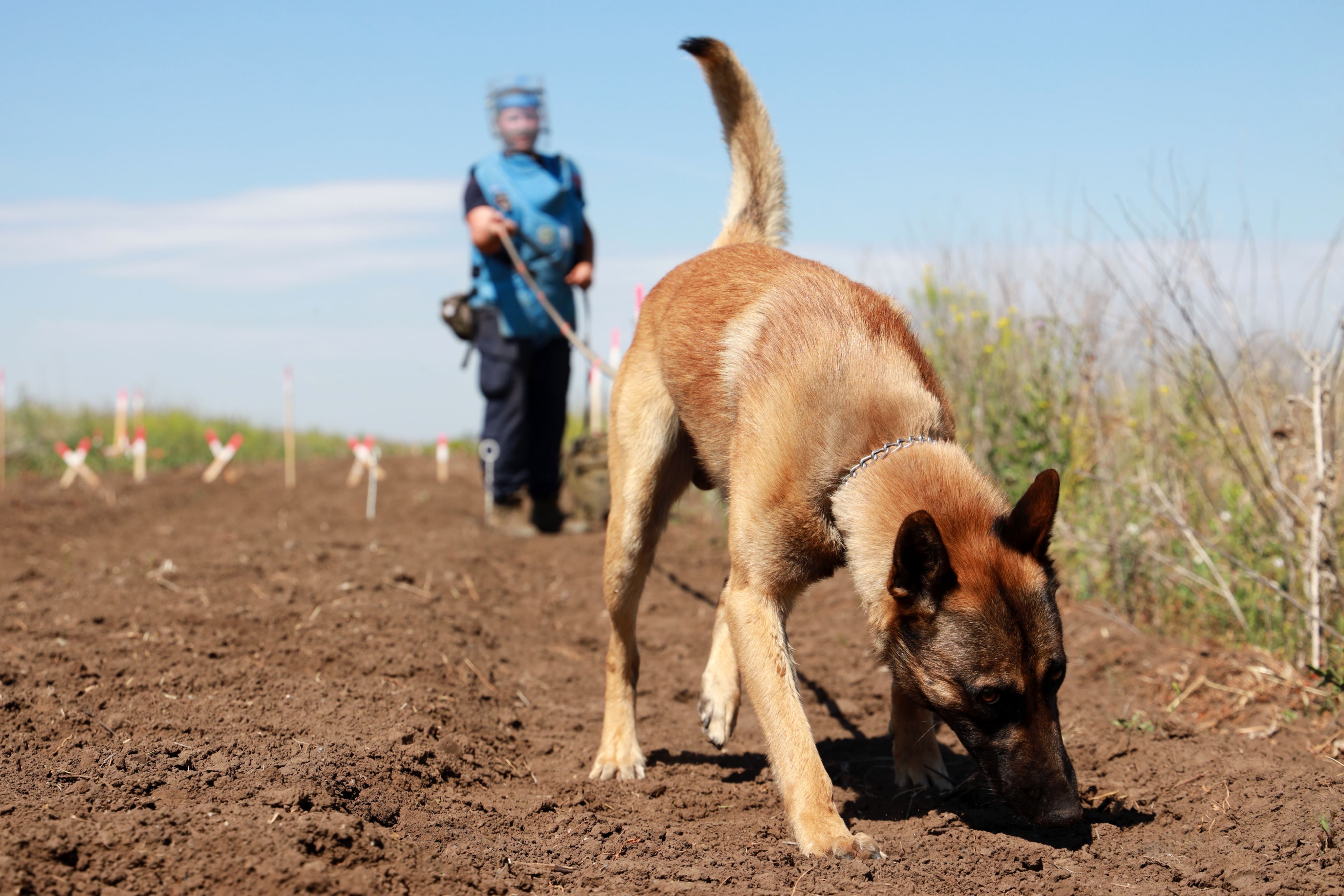 Norwegian People's Aid | Use of Full Mine Action Toolbox Leads to…